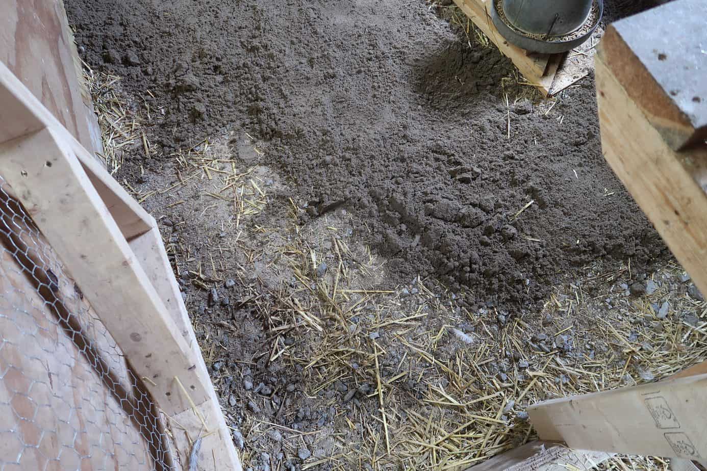 Why Sand is The Best Choice for Your Chicken Coop