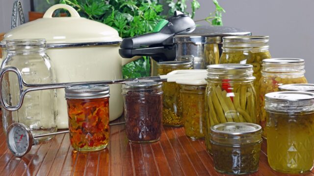 How to Preserve Food- 3 Ways