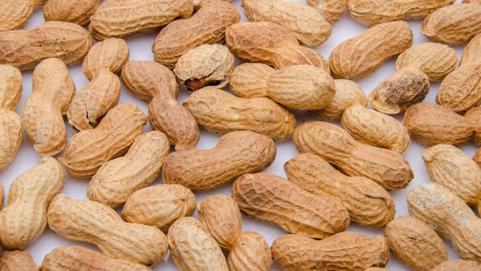 25 Cheap Snacks to Buy in Bulk