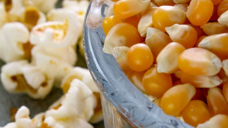 25 Cheap Snacks to Buy in Bulk