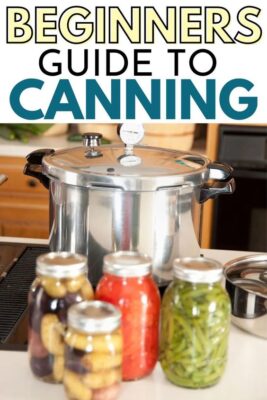 Easy Canning for Beginners: Your Guide to Preserving Food at Home
