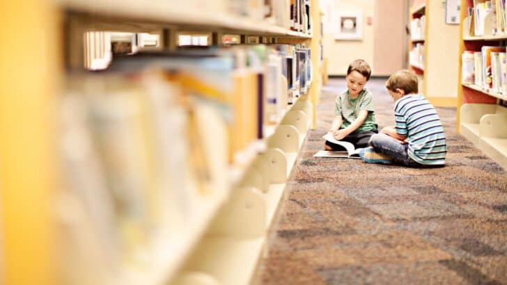 How to Make the Most Out of Your Library This Summer