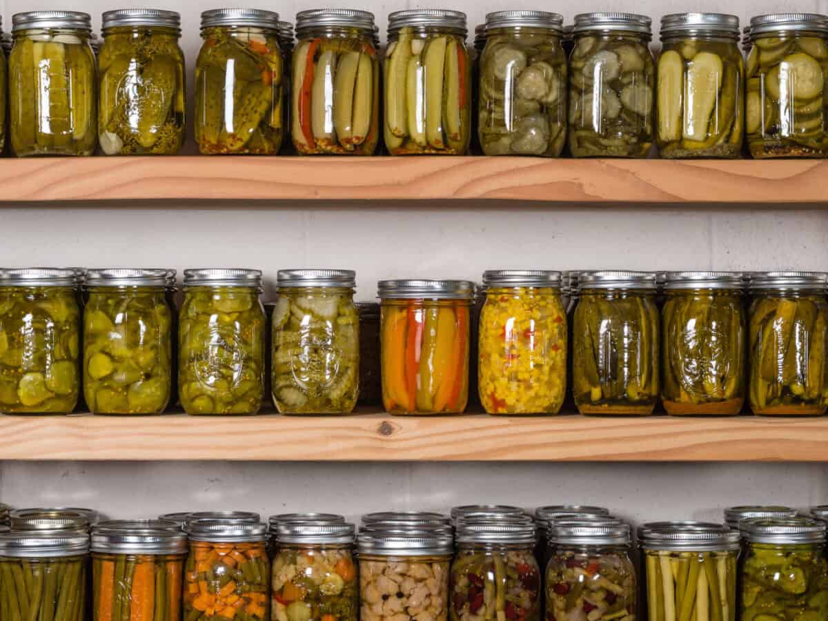 Best Products for Food Preservation & Storage