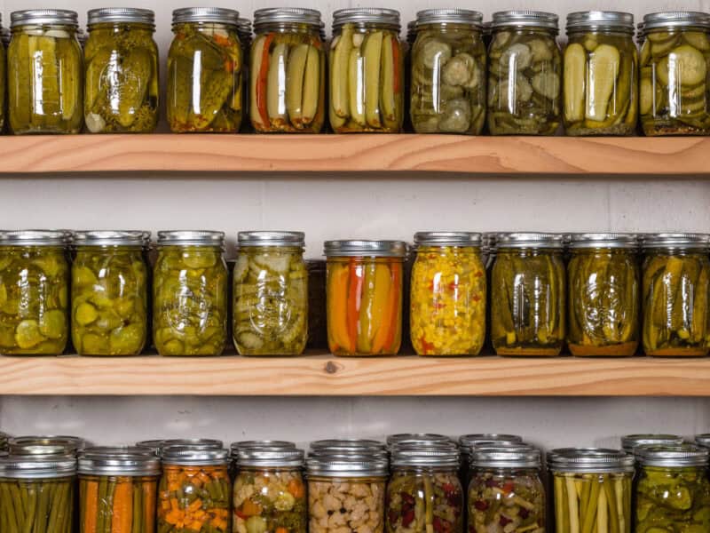 Best Products for Food Preservation & Storage