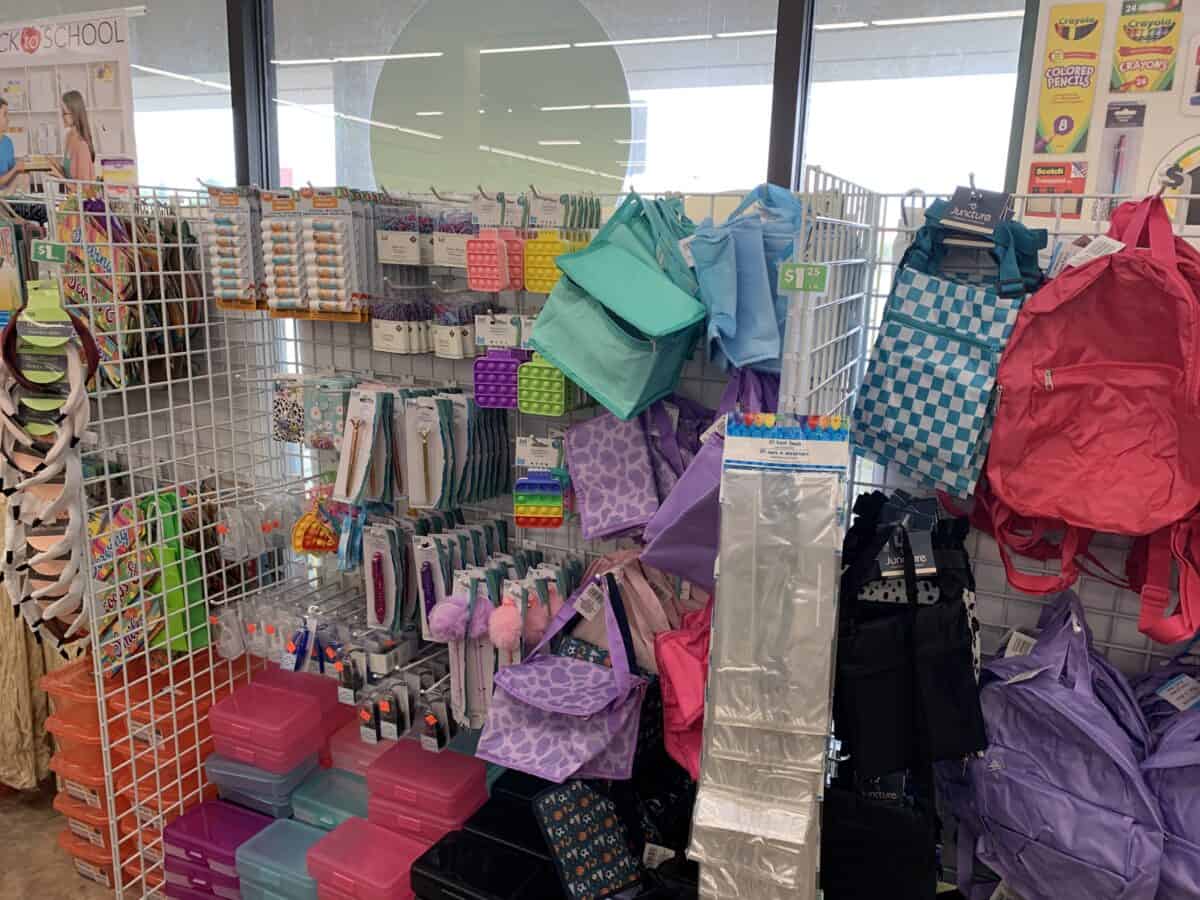 Best Items at Dollar Tree- And Items to Avoid