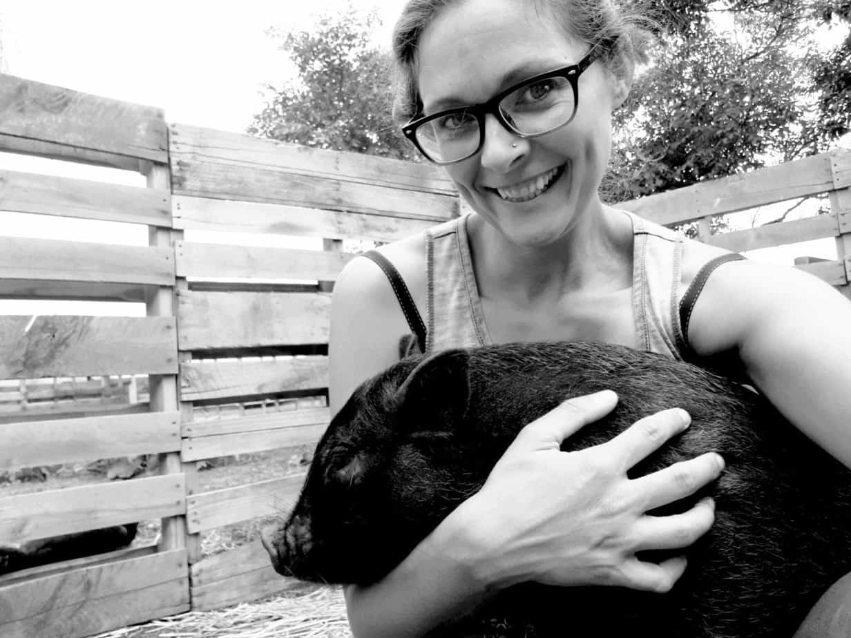 How to Calm a Mini Pig