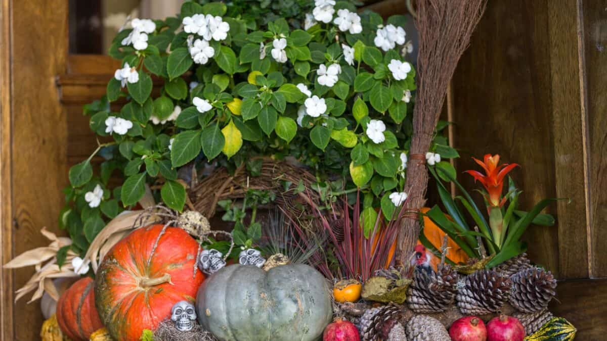 How to Create Fall Planters Cheap