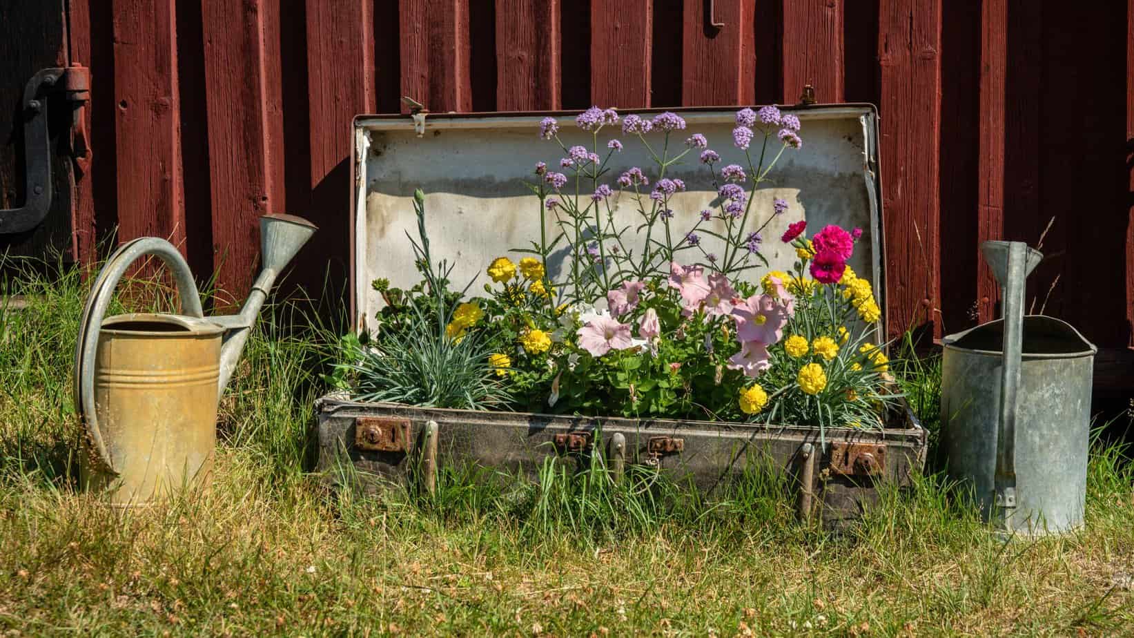 How to Create Fall Planters Cheap