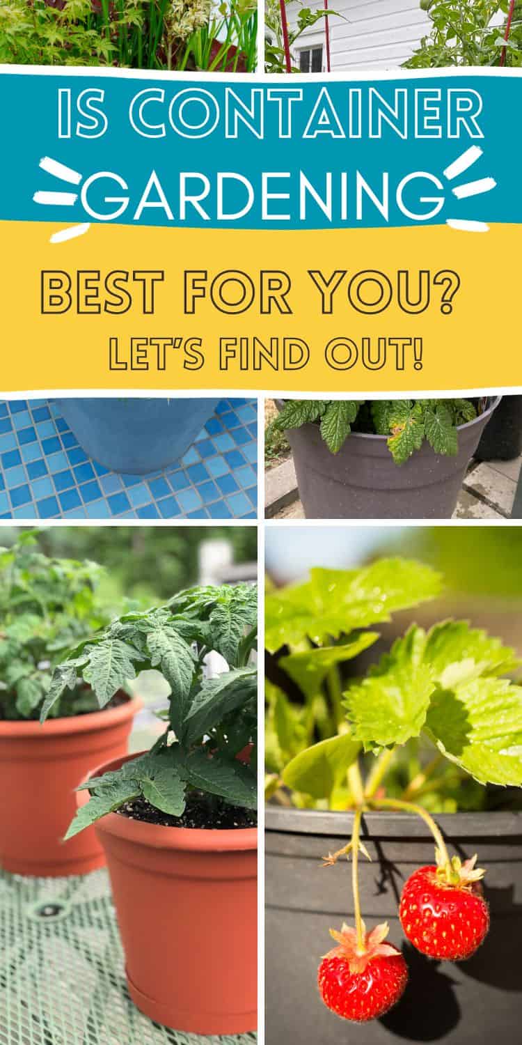 Why Container Gardening Is The Best Way to Grow Plants