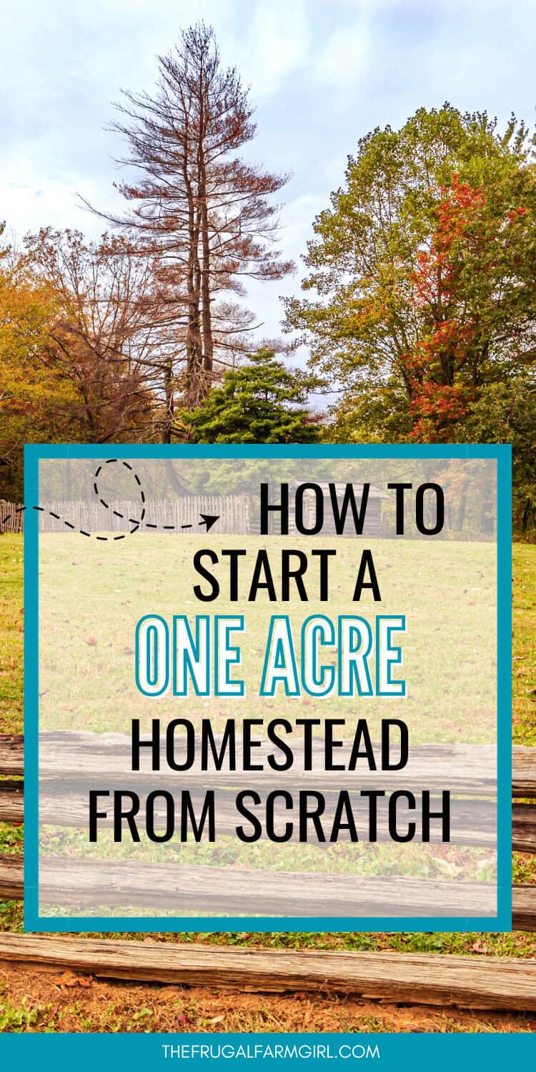10 Steps to Starting your One Acre Homestead