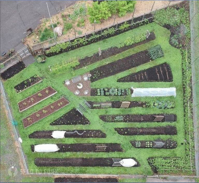 Ideas for a One Acre Homestead Layout