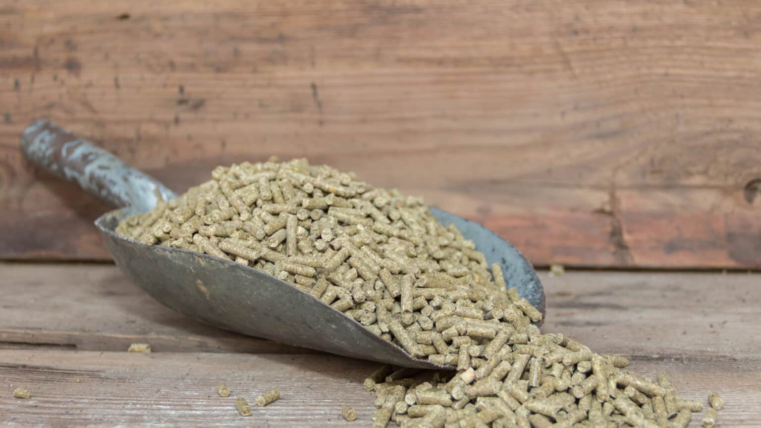 The Best Hay to Feed Goats in Winter Cold