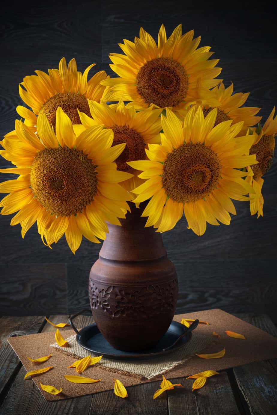 10 Easy-to-Grow Flowers to Add to Your Potted Plant Collection