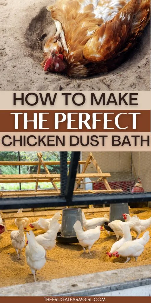 How to Make the Perfect Chicken Dust Bath
