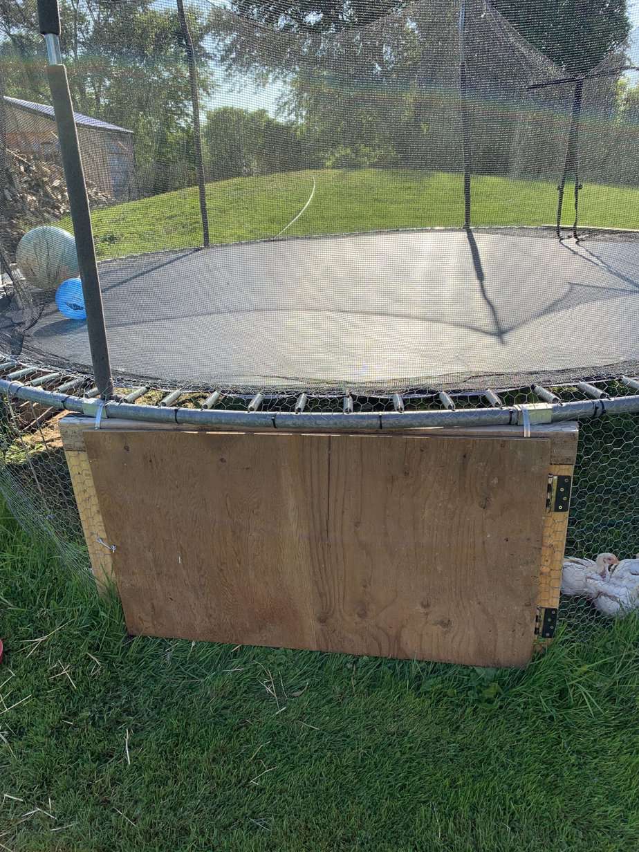 DIY Trampoline Chicken Coop