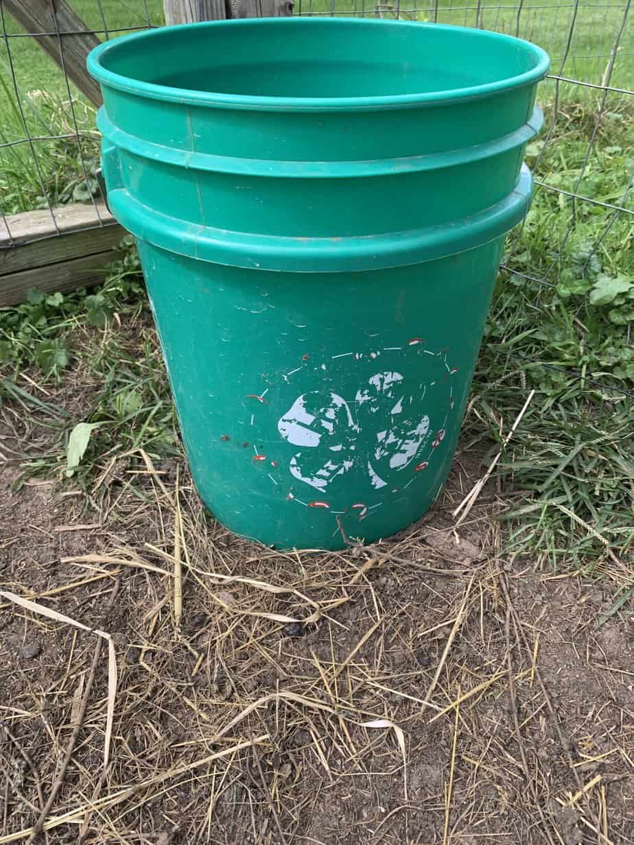 How to Prepare Your Goats for a Successful Breeding Season