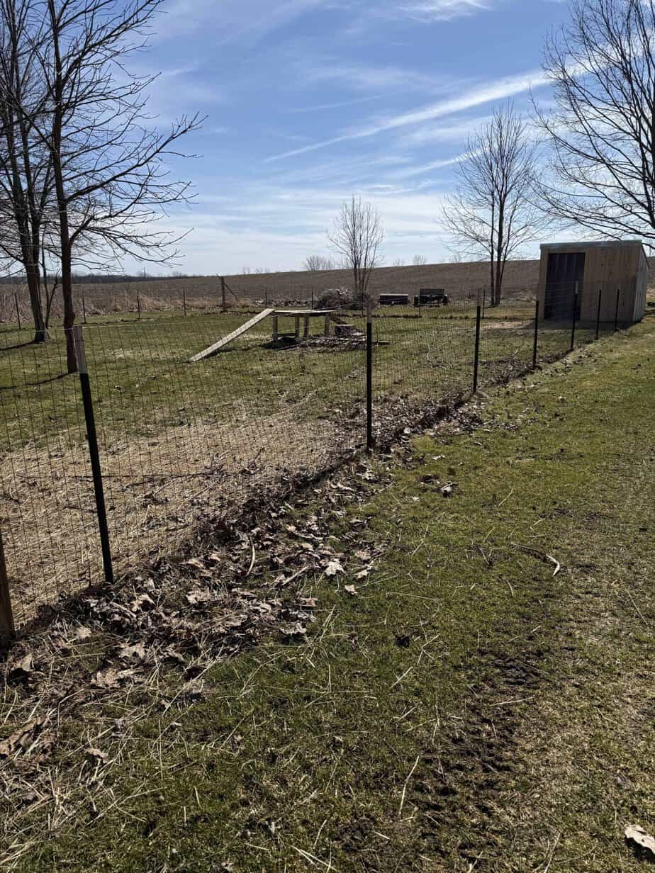 How to Build a DIY Goat Shelter