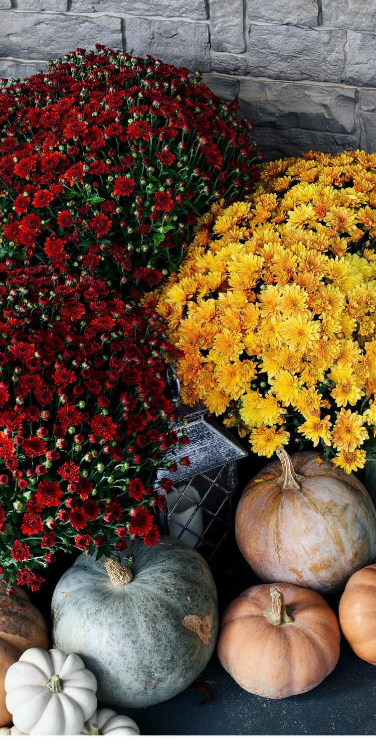 Small Front Porch for Fall Decor Ideas